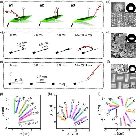 Bioinspired Directed Droplet Bouncing On The Superhydrophobic Flexible Download Scientific