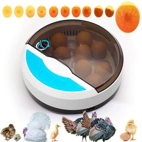 Mua Lreerge Egg Incubatorwith 9 LED Lighted Egg Candle Tester And