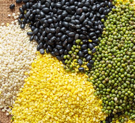 Proteínas De Origen Vegetal