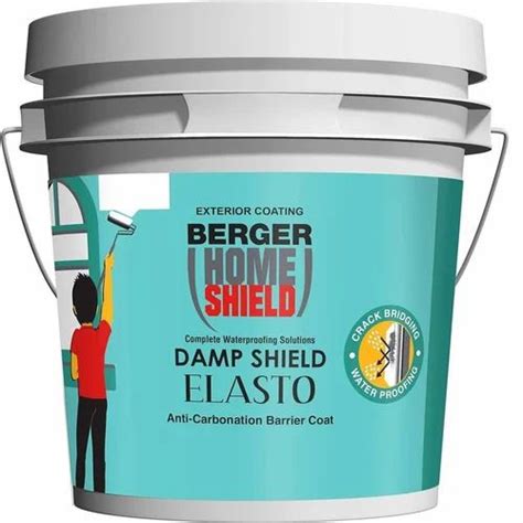 Berger Damp Shield Elasto 20 Ltr At 4300 Bucket In Nashik ID