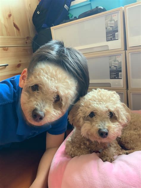 Thanks I Hate Face Swaps Rtihi