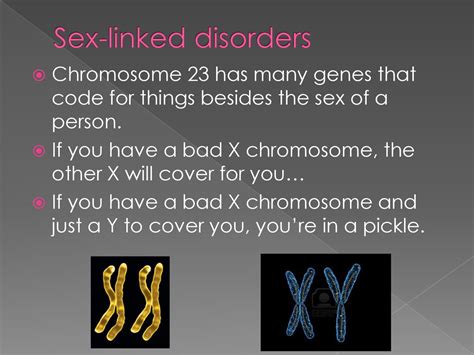 Genes And Chromosomes Too Ppt Download