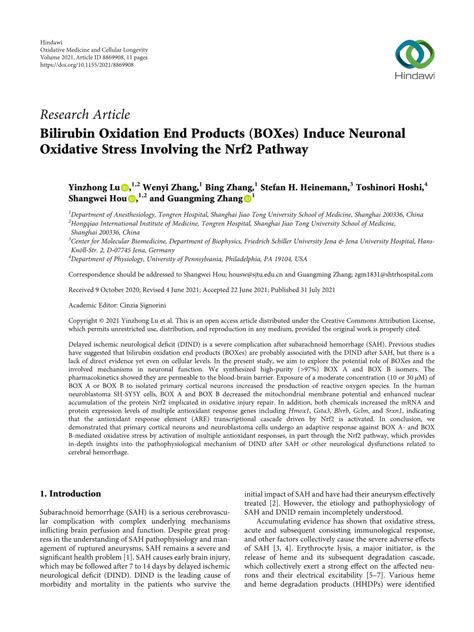 Bilirubin Oxidation End Products Boxes Induce Neuronal Oxidative