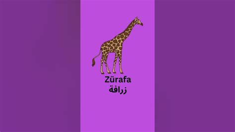 كلمات تبدأ بحرف Z في اللغة التركية Shorts اللغةالتركية Youtube