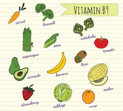 Vitamin B Complex During Pregnancy Why They Are Important Artofit