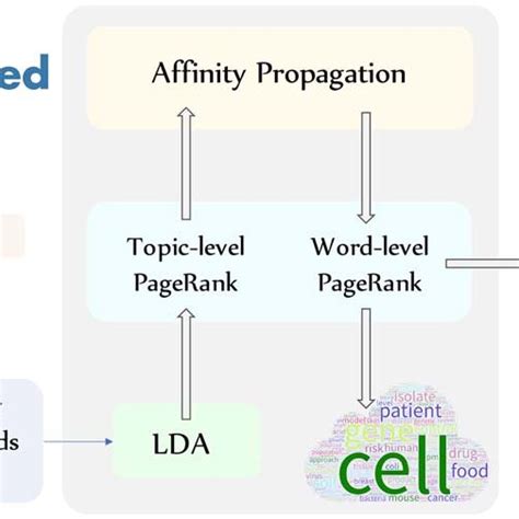 Overall Framework And Workf Low Of The Ldapr Model The Data Were