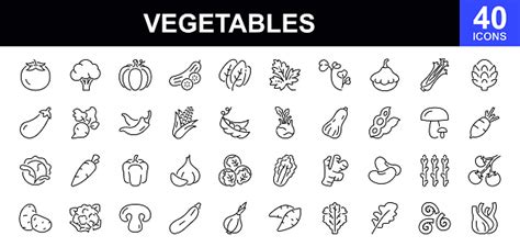 야채 아이콘 세트입니다 토마토 오이 콜리플라워 가지 무 버섯 생강 브로콜리 옥수수 셀러리 마늘 등과 같은 아이콘이 들어 있습니다 벡터 일러스트 레이 션 가지 채소에 대한