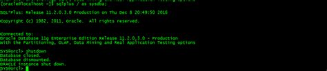 Oracle11g 启动数据库实例、关闭数据库实例 Csdn博客
