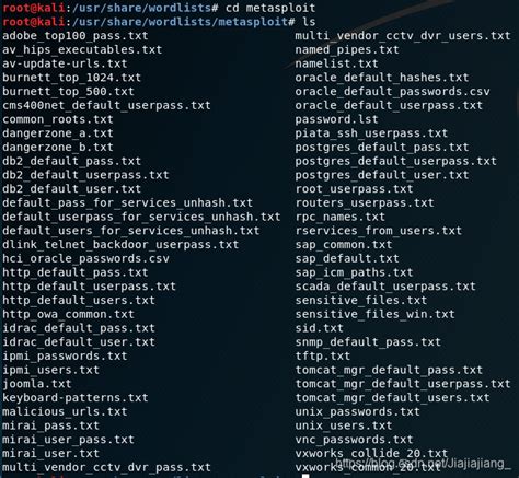 kali系统自带字典wordlists简介 一支神经病的博客 csdn博客 kali wordlist