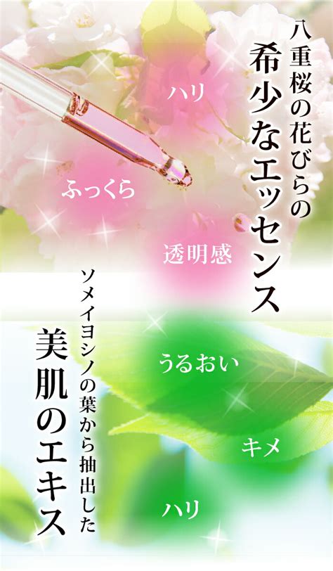 【楽天市場】桜と七草のハーブで作ったお水のクリーム オールインワンゲル オールインワンジェル オールインワンクリーム オールインワン化粧品 乾