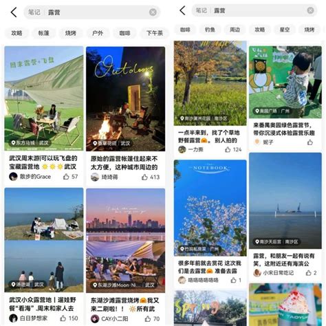 大众点评：清明小长假“露营”搜索量环比上涨315