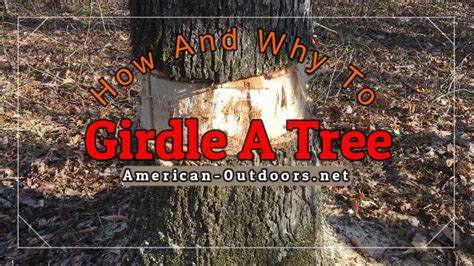 How And Why To Girdle A Tree {tree Girdling} American