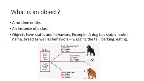 Master Object Oriented Programming With These Expert Tips YouTube