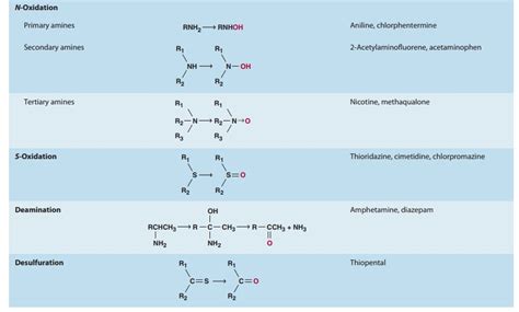 Microsomal Mixed Function Oxidase System And Phase I Reactions