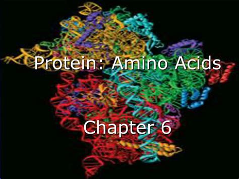Ppt Protein Amino Acids Chapter 6 Powerpoint Presentation Free