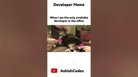 Programming Meme Part 23 Shorts Memes Programming Developer Youtube