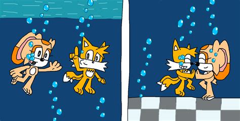 Pool Fun Sonic The Hedgehog By Illcitvirus On Deviantart