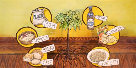 Cassava Brown Streak A Deadly Virus On The Move Bspp The British