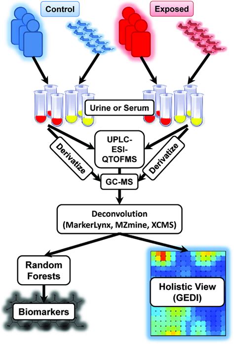 Figure 3 From The Role Of Mass Spectrometry Based Metabolomics In