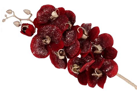 ᐉ Декоративна гілка Bonadi Орхідеї 73 см 709 597 • Краща ціна в Києві Україні • Купити в Епіцентр