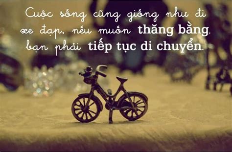 Những Câu Nói Hay Nhất Về Tình Yêu Cuộc Sống Và Gia đình Vntripvn