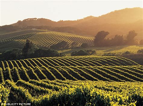 Diageo Gets Out Of The Wine Trade By Selling Blossom Hill And Piat Dor