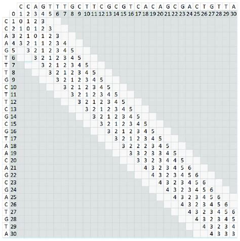 Example Of The Computation Of The Levenshtein Distance Between Two