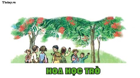 Hoa Học Trò Lớp 4 ️️nội Dung Tập Đọc Ý Nghĩa Soạn Bài