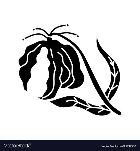 Flower Leaf Design Template Royalty Free Vector Image