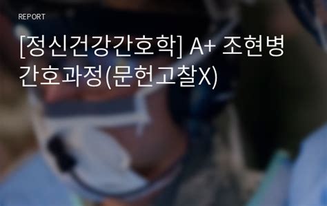 정신건강간호학 A 조현병 간호과정문헌고찰x 레포트