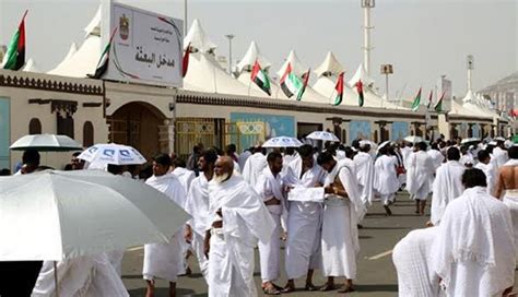 إنفوجراف بعثة الحج الرسمية للإمارات في 2016 بالأرقام