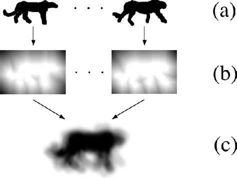 Figure 1 From Shape Constrained Image Segmentation By Parametric Distributional Clustering
