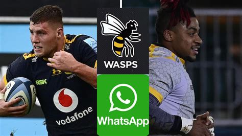 Always A Wasp Former Wasps Players Group Chat Goes Viral After Tom