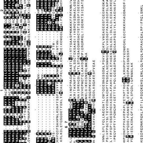 Comparison Between Plant Mitochondrial And E Coli Rps2 Protein