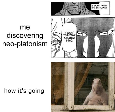plz send help i think i missed a step r philosophymemes