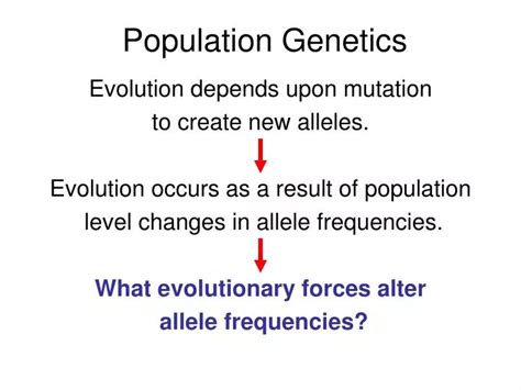 PPT Population Genetics PowerPoint Presentation Free Download ID 4416244