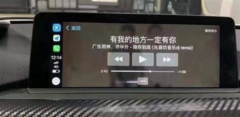 src按键是什么意思 有驾