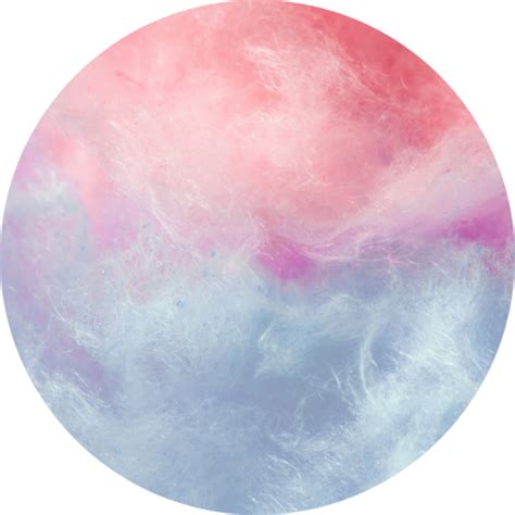 Fizzliciouss Professional Bubble Tea Materials Supplier