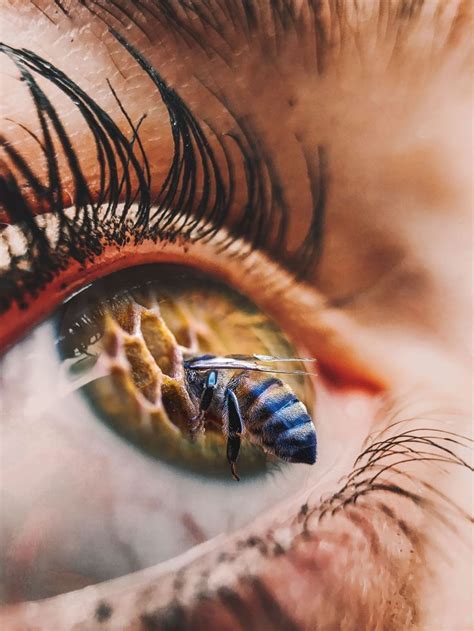 Eye And Bee Manupulation Queen Bees Fantasy Eyes Photo Tattoo Ideas Play Dream Quick Bees