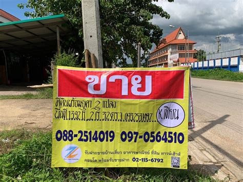 ขายที่ดิน2แปลง ต้นยูคาลิปตัส เกาะคา ลำปาง Zion Real Estate