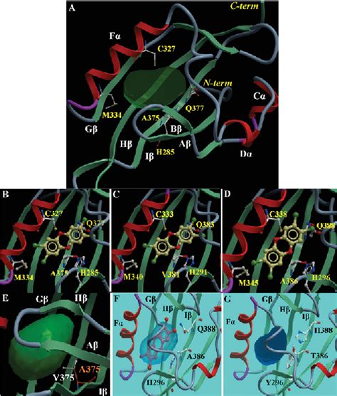 Table 2 From Modeling Of The Aryl Hydrocarbon Receptor Ahr Ligand