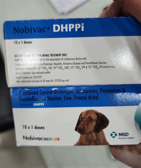 NOBIVAC DHPPI Nobivac-centroamerica-com, 47% OFF