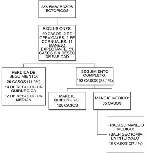 Algoritmo De Estudio Download Scientific Diagram