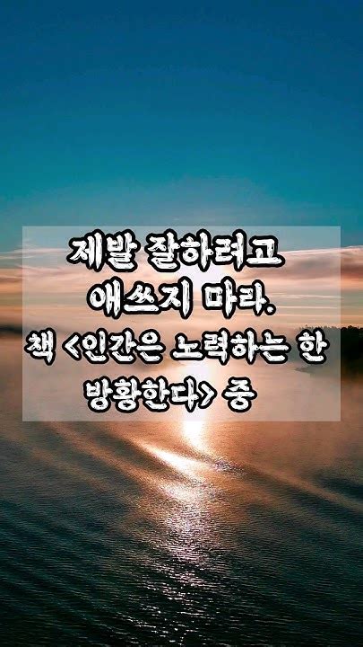 감동 좋은글 제발 잘하려고 애쓰지마라 인간은 노력하는 한 방황한다 지식 명언 동기부여 좋은글 자기계발