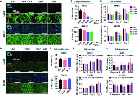 Cytotoxicity Of Cell Surface Membrane Modification As Evaluated In