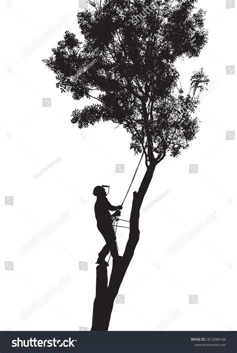 2 117 Tree Felling Stock Vectors Images Vector Art Shutterstock