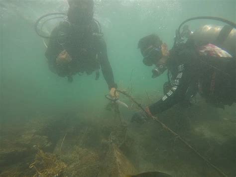 颱風過後 遊憩業者杭灣海域淨灘淨海 澎湖時報 Line Today
