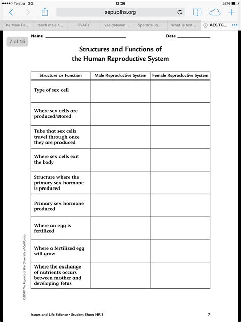 Pin On Teaching Yr 11 Reproduction