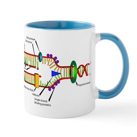 Cafepress Dna Nucleosome Molecular Model Mug 11 Oz Ceramic Mug