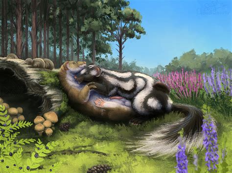 Rule 34 2024 Ambiguous Gender Animal Genitalia Animal Penis Balls